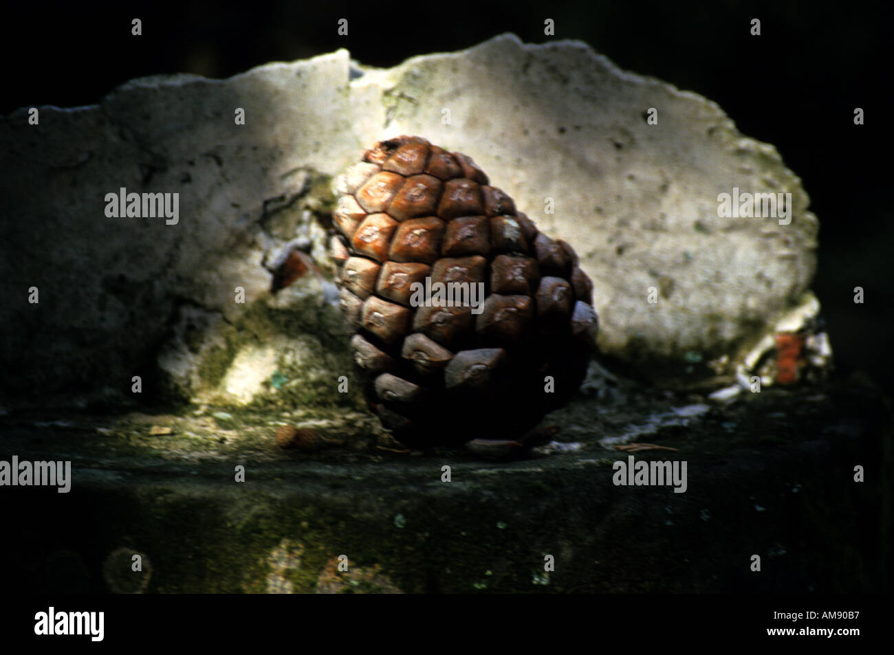 Symmetrical cone hi-res stock photography and images - Alamy