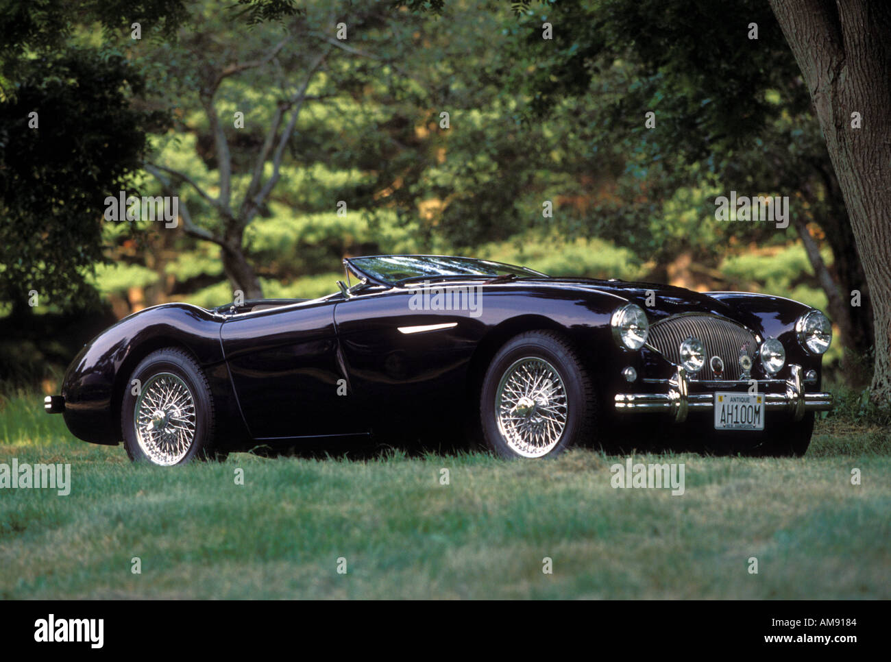 Austin healy hi-res stock photography and images - Alamy