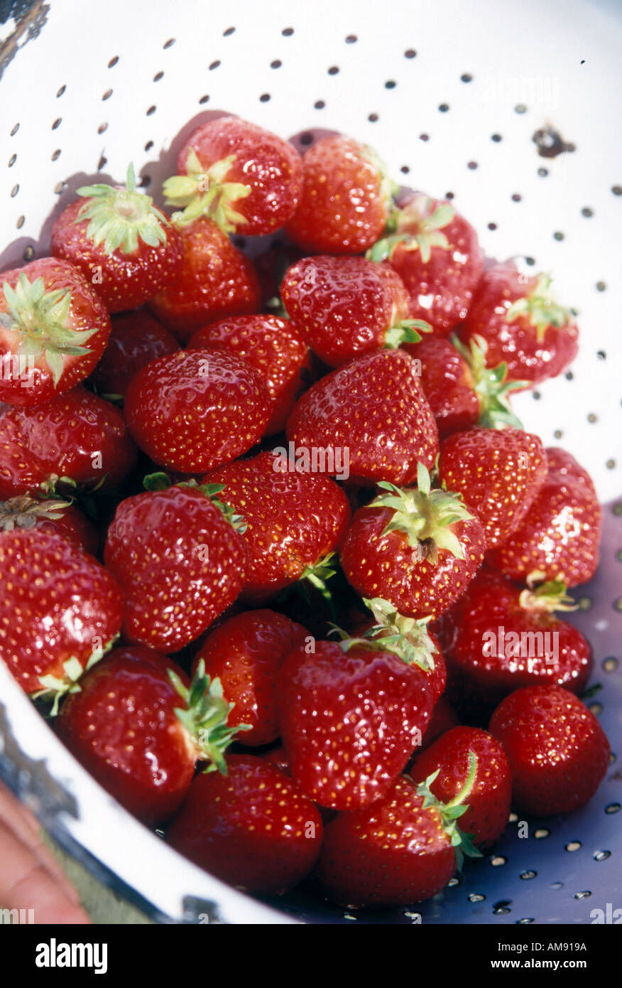 Still life strawberries hi-res stock photography and images - Alamy