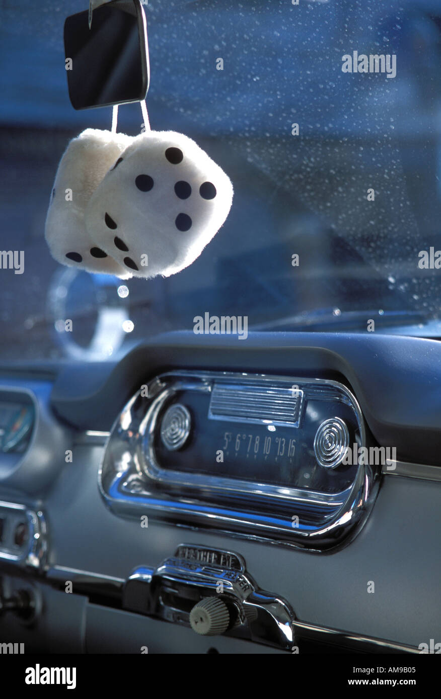 Turquoise Fuzzy Dice