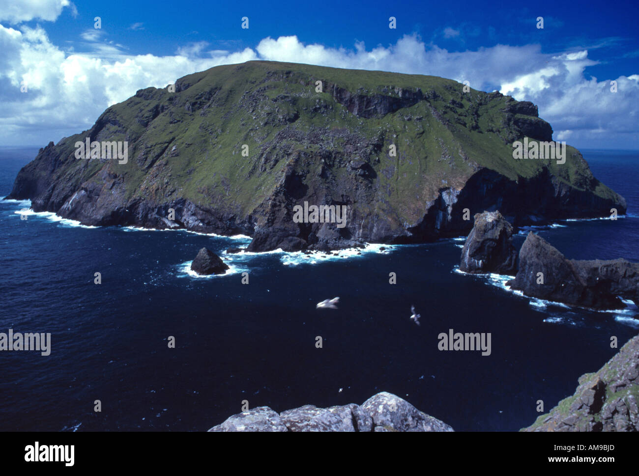 Hirta or hiort atlantic island isle soay sheep hi-res stock photography ...