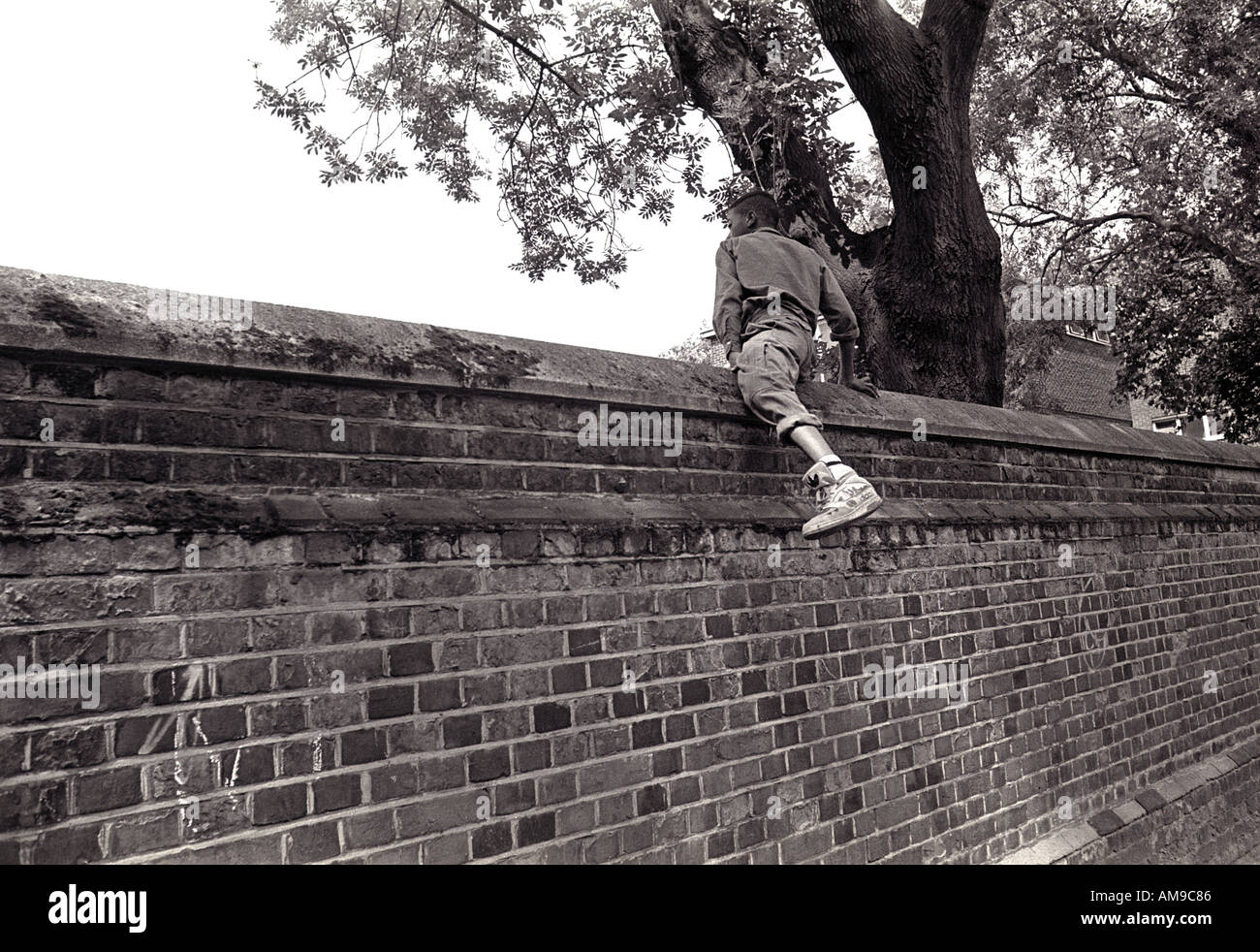 Person climbing over fence hi-res stock photography and images - Alamy
