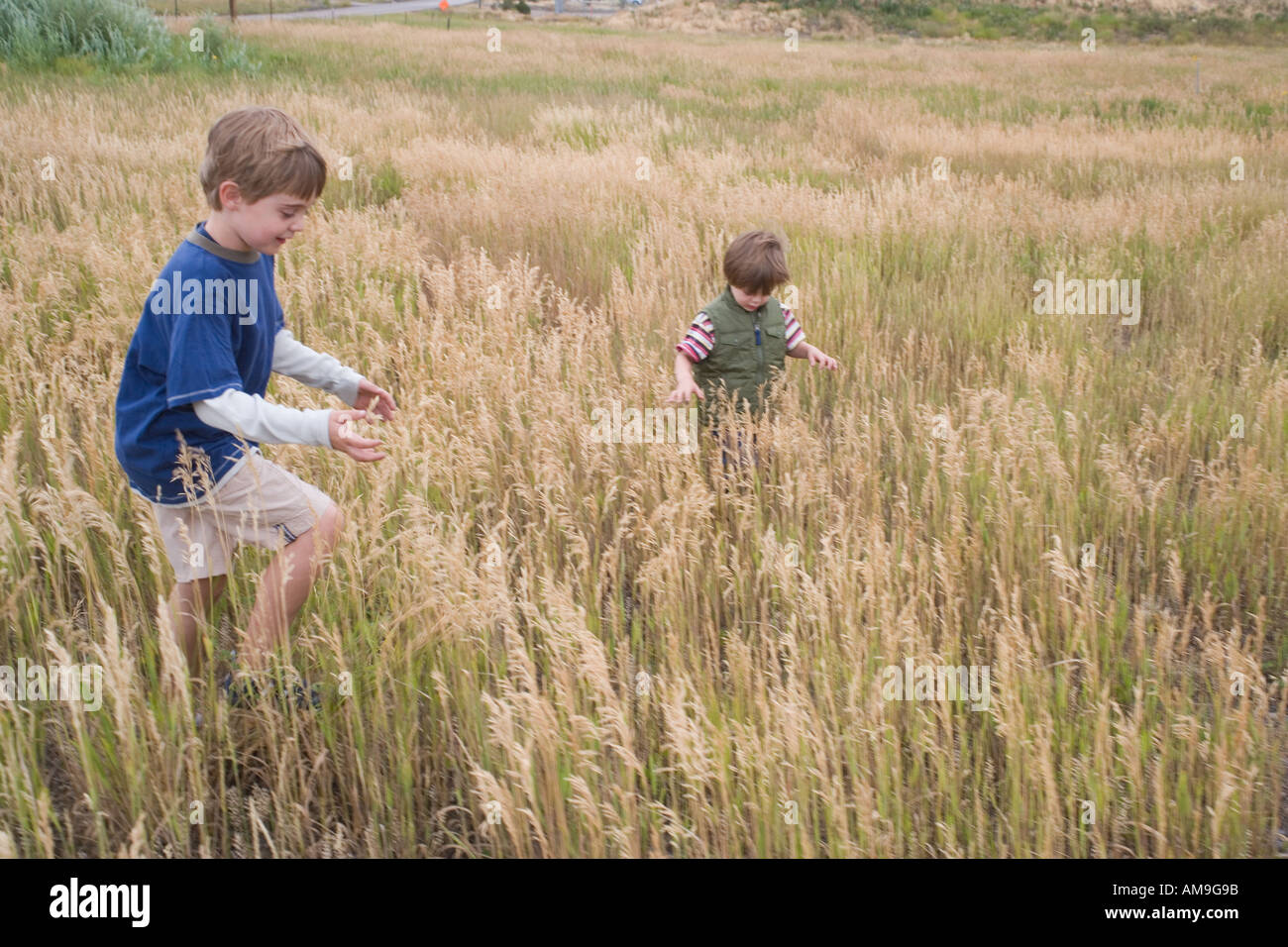 two boys walking in field of grass Stock Photo - Alamy