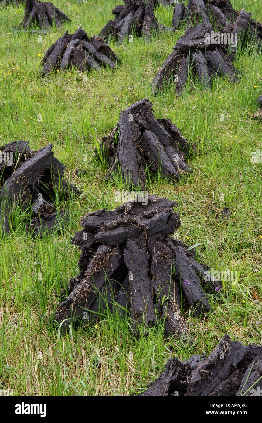 Irish peat turf cut and stacked to dry for domestic fire alternative ...