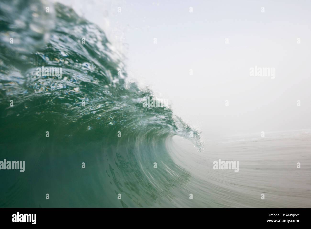 The crest of a wave Stock Photo - Alamy