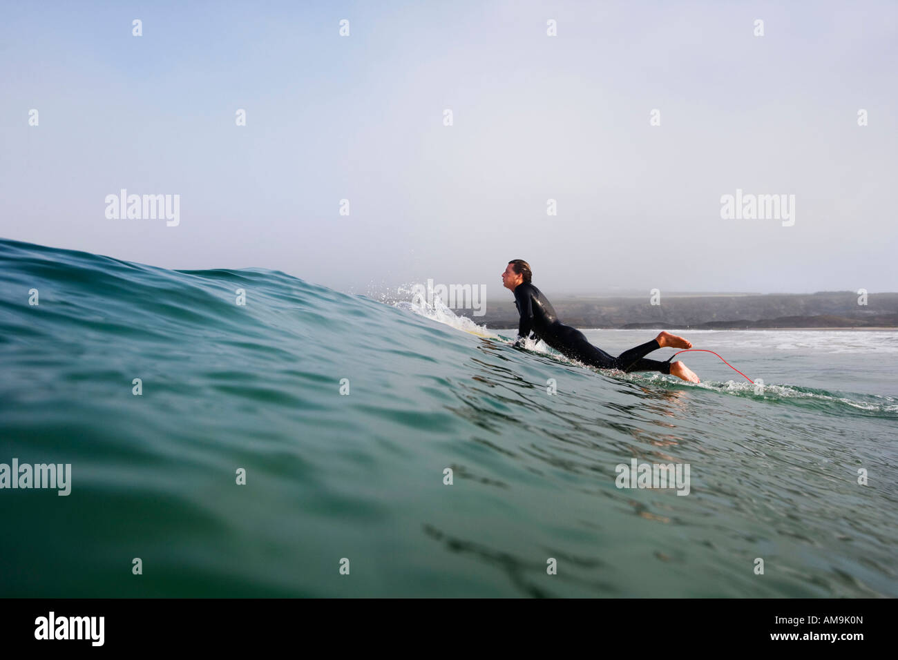 Man getting up on a surfboard in the water Stock Photo - Alamy