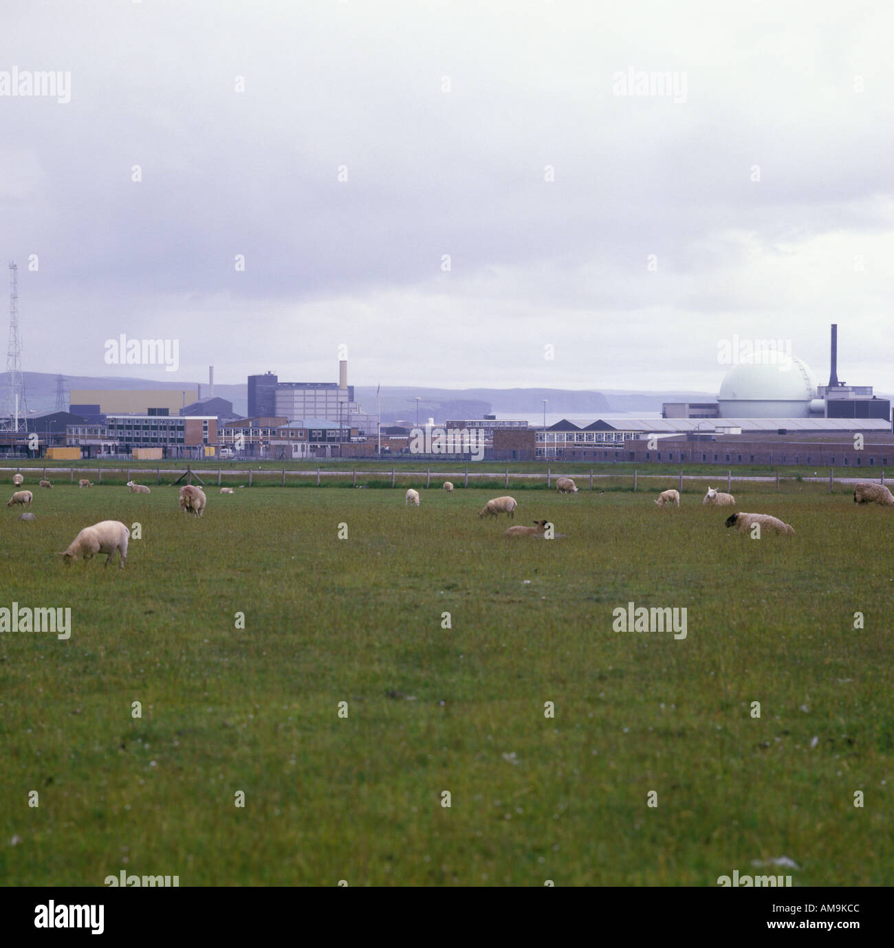 Dounreay Nuclear Power Station Highland Scotland Stock Photo - Alamy Dounreay Nuclear Power Station Highland Scotland Stock Photo - Alamy