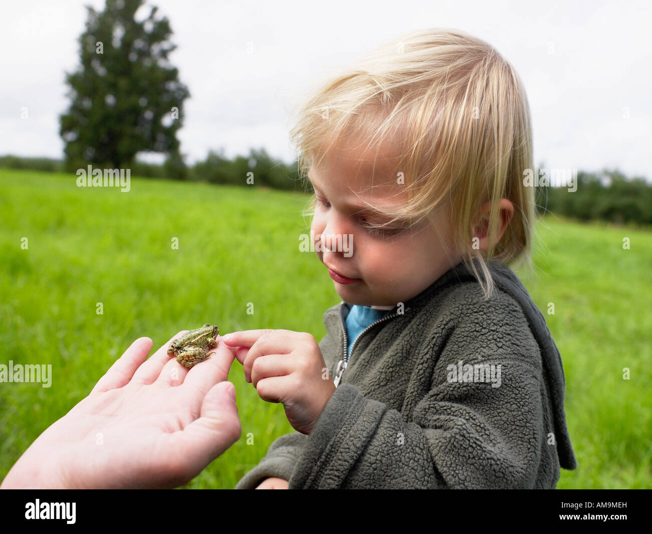 The children and the frog hi-res stock photography and images - Alamy