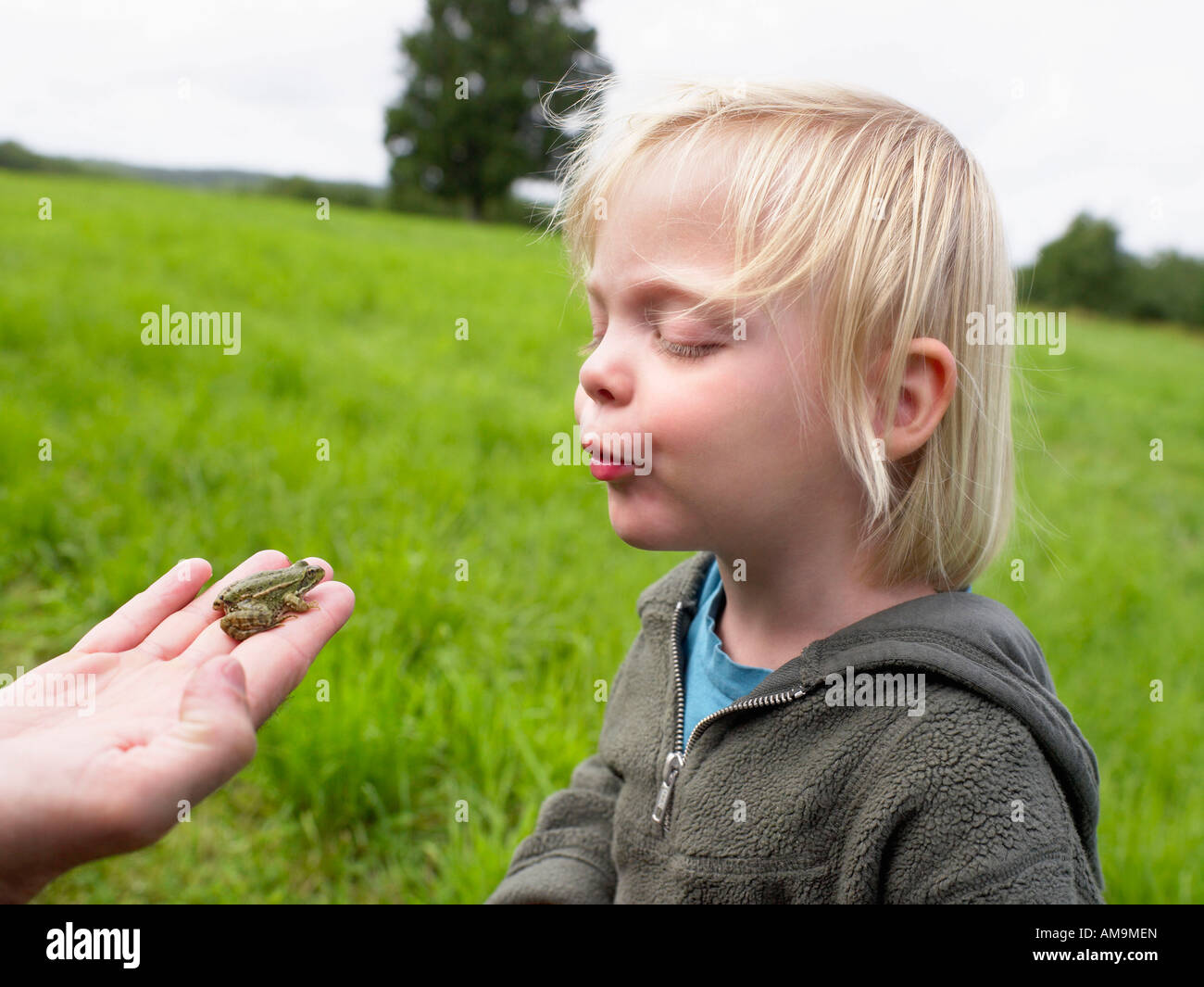 Young girl looking at a small frog held in a man's hand Stock Photo - Alamy