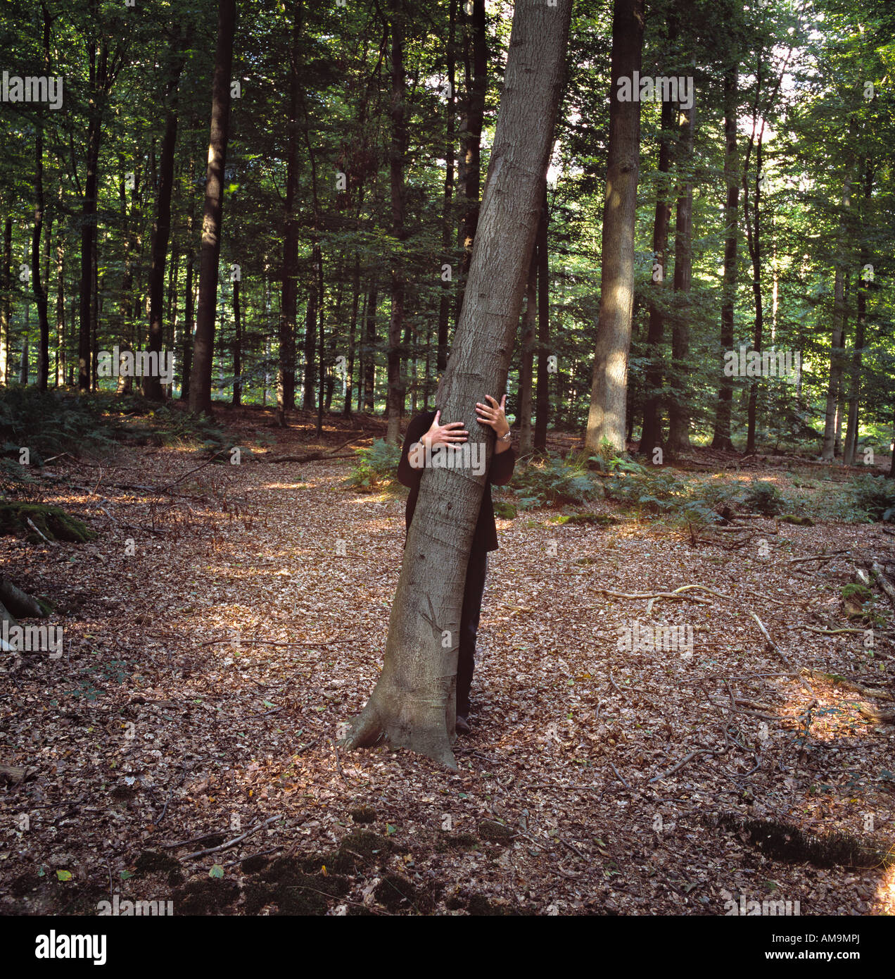 A man standing behind a tree with arms around it in the forest Stock ...