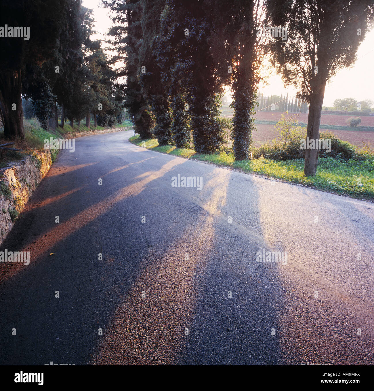 A desolate street in Tuscany Stock Photo - Alamy