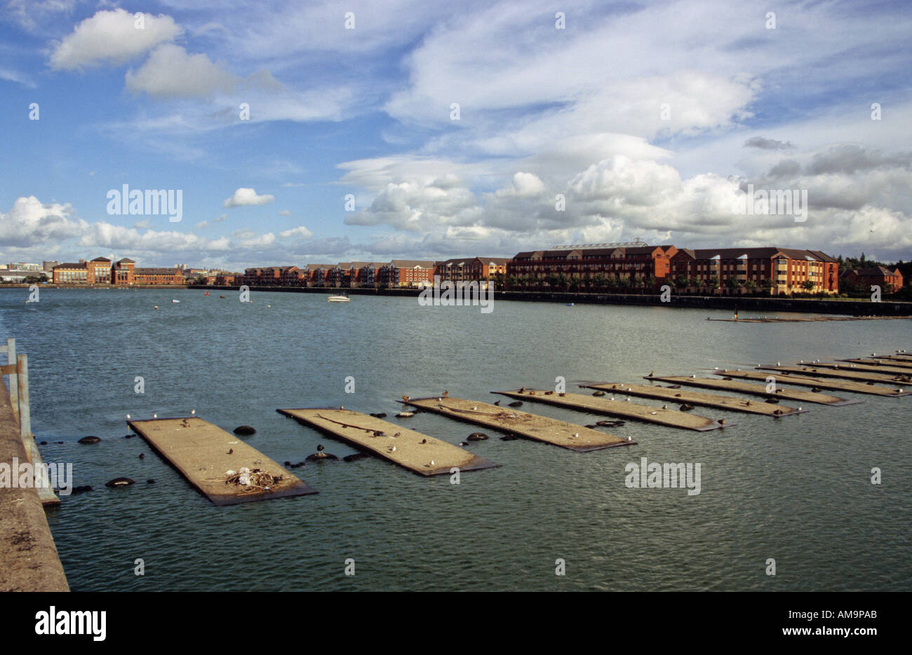 Albert Edward Dock at Preston Riversway Docklands Stock Photo - Alamy