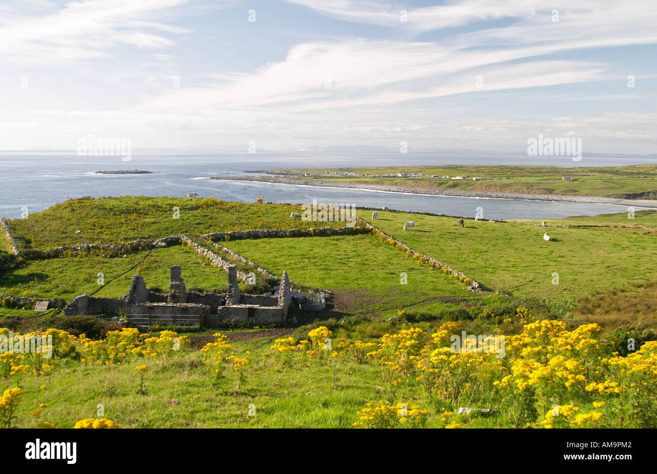 Irish green countryside Stock Photo - Alamy