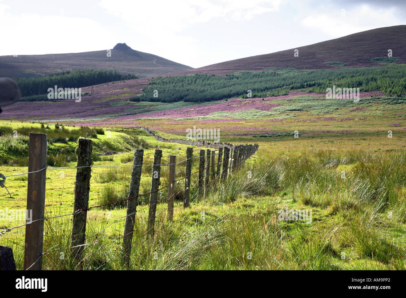 Bennachie Hill High Resolution Stock Photography and Images - Alamy