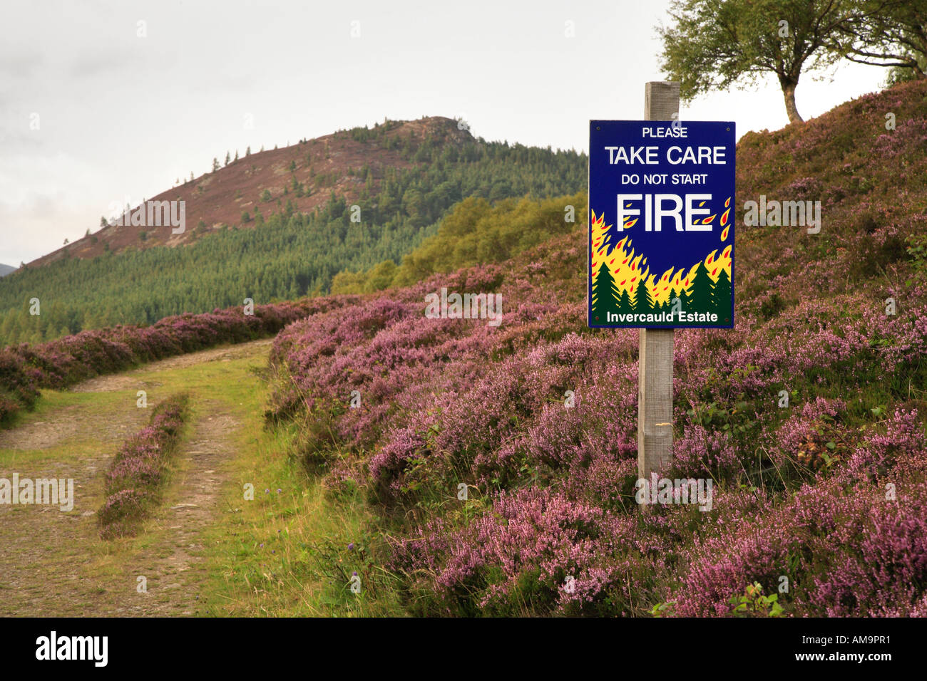 Autumn Fire risk - Please do not start fire sign; scottish heather ...