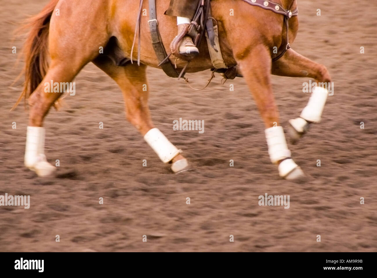 Singlefooting hi-res stock photography and images - Alamy