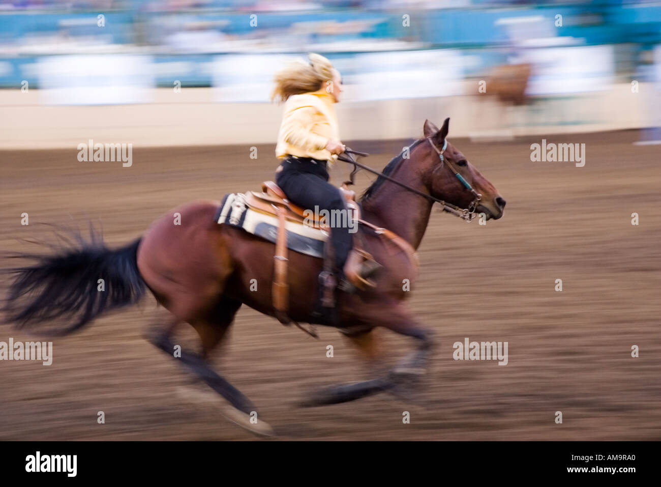 Western horsemanship Hore and rider in western attire in action in ...