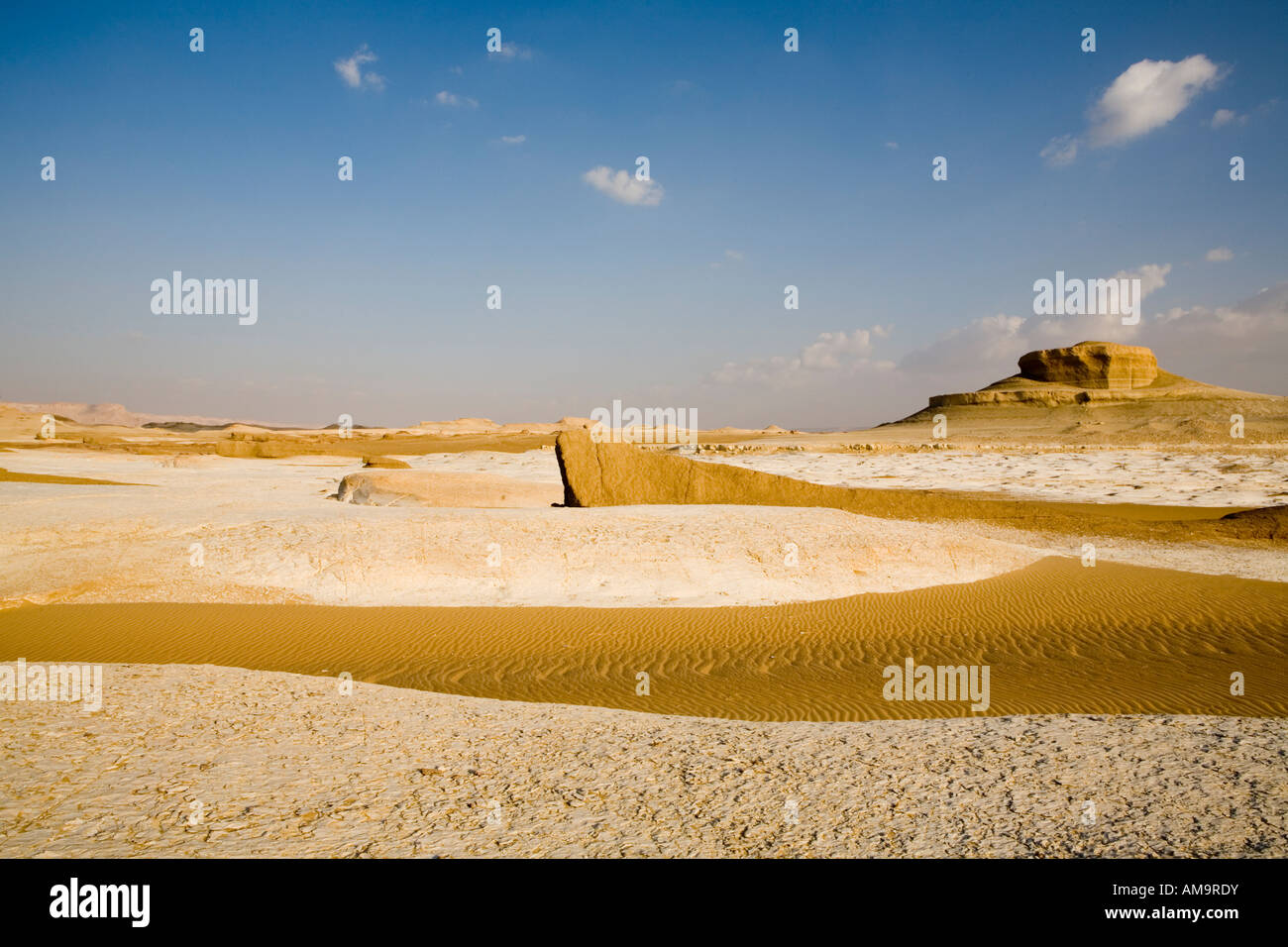 Yardang field , Dakhla Oasis, Egypt , Africa Stock Photo - Alamy