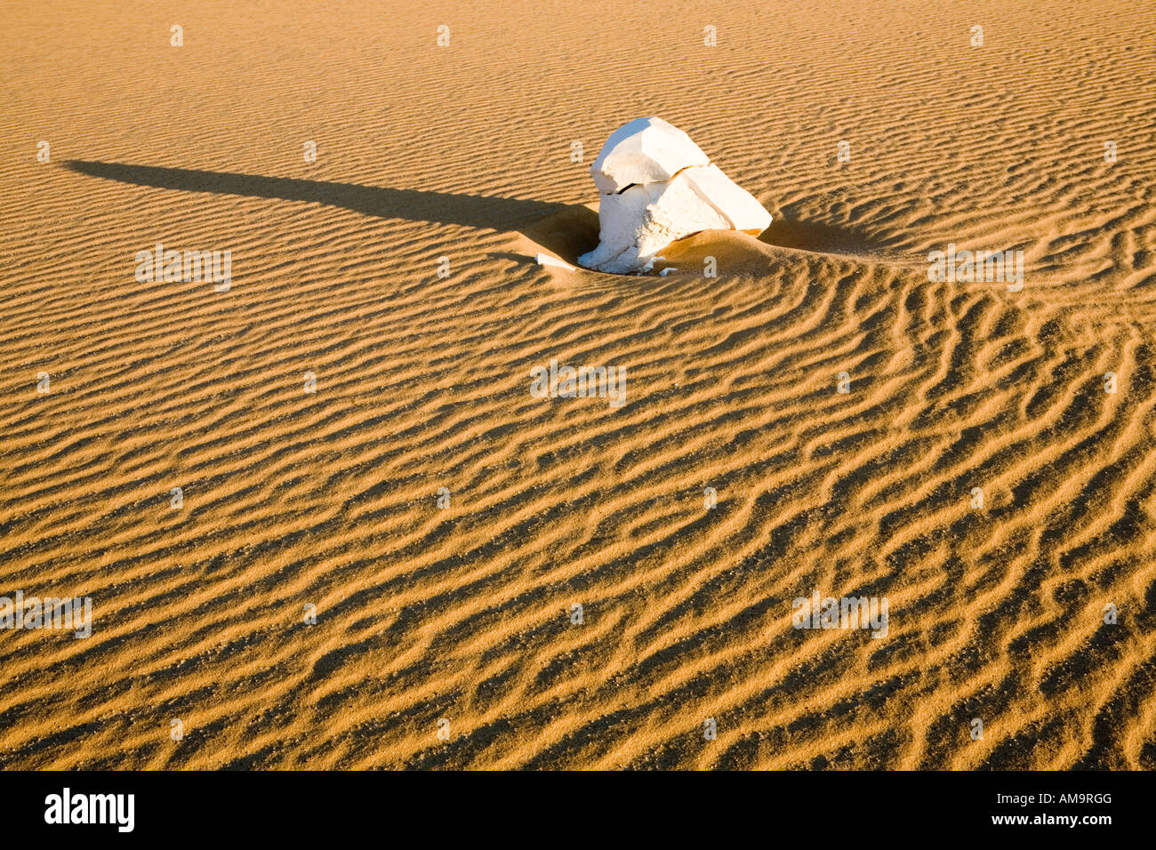 White dune in dakhla hi-res stock photography and images - Alamy