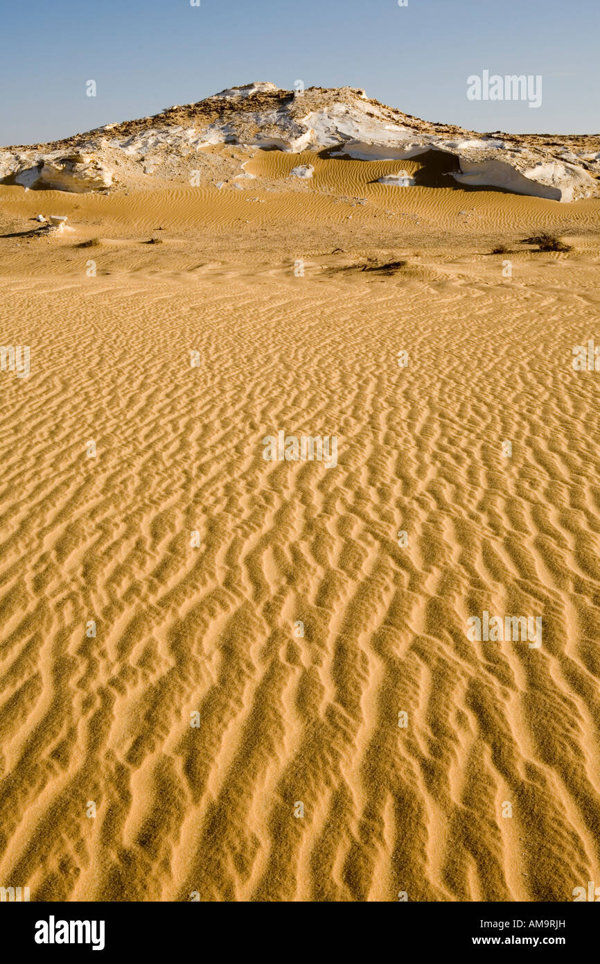 Sandy Desert Ground