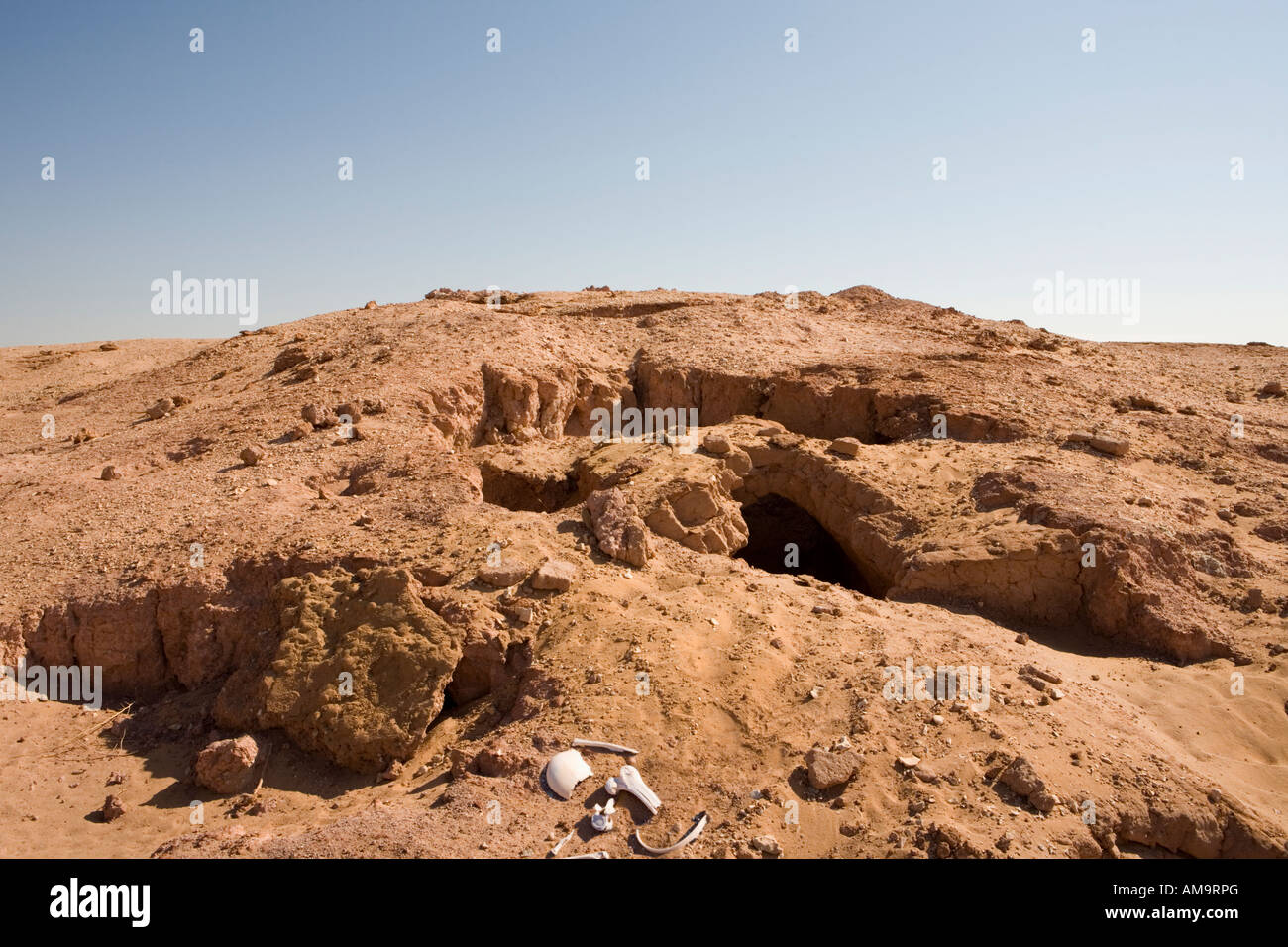 Open graves showing human remains on ground surface at the cemetery of ...