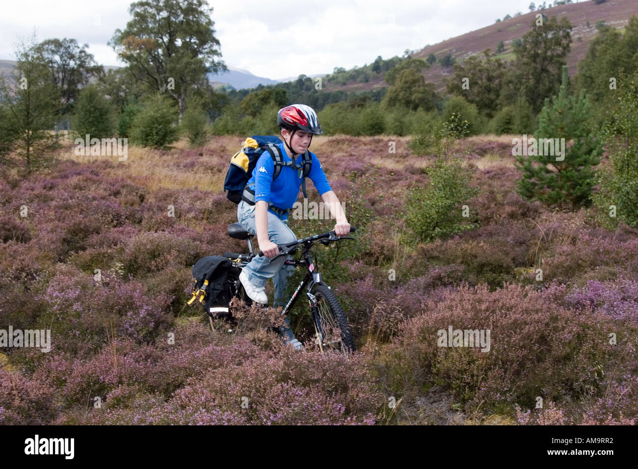 Scottish Track Cyclist High Resolution Stock Photography and Images - Alamy