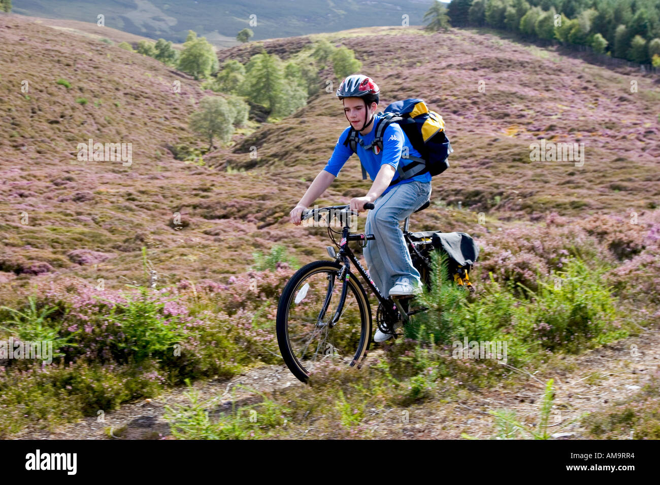 Scottish Track Cyclist High Resolution Stock Photography and Images - Alamy