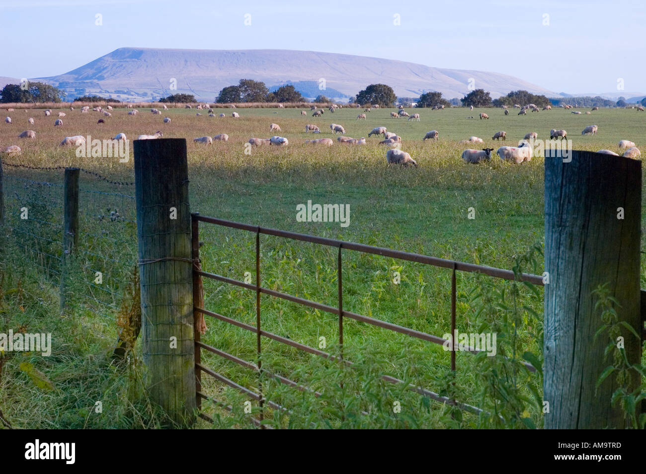 Pendle Hill, Clitheroe, Lancashire Stock Photo - Alamy