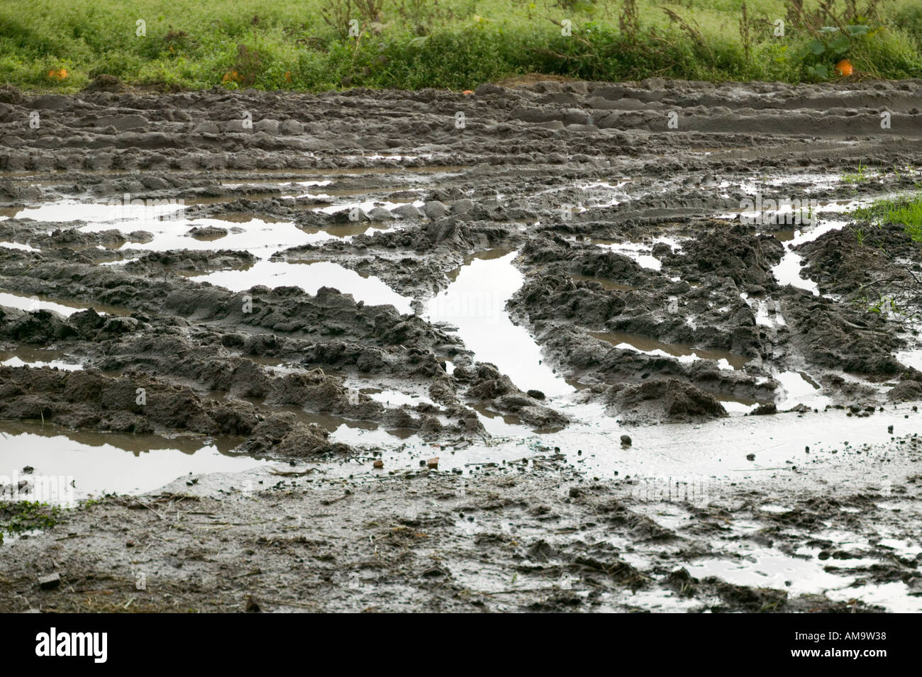 Mud bog hi-res stock photography and images - Alamy