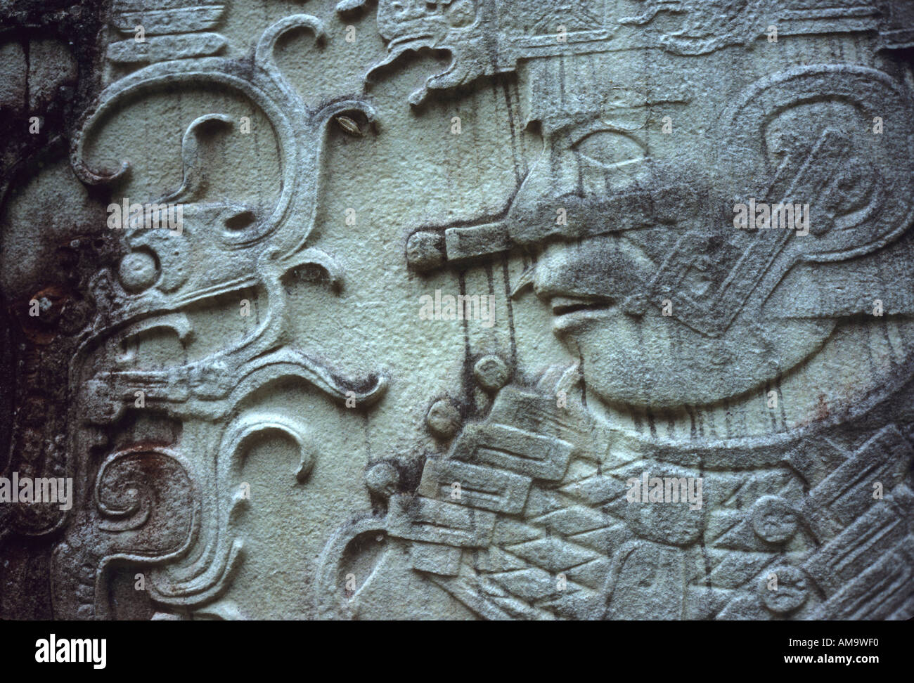 Mayan ruins site at Seibal Guatemala Stock Photo - Alamy