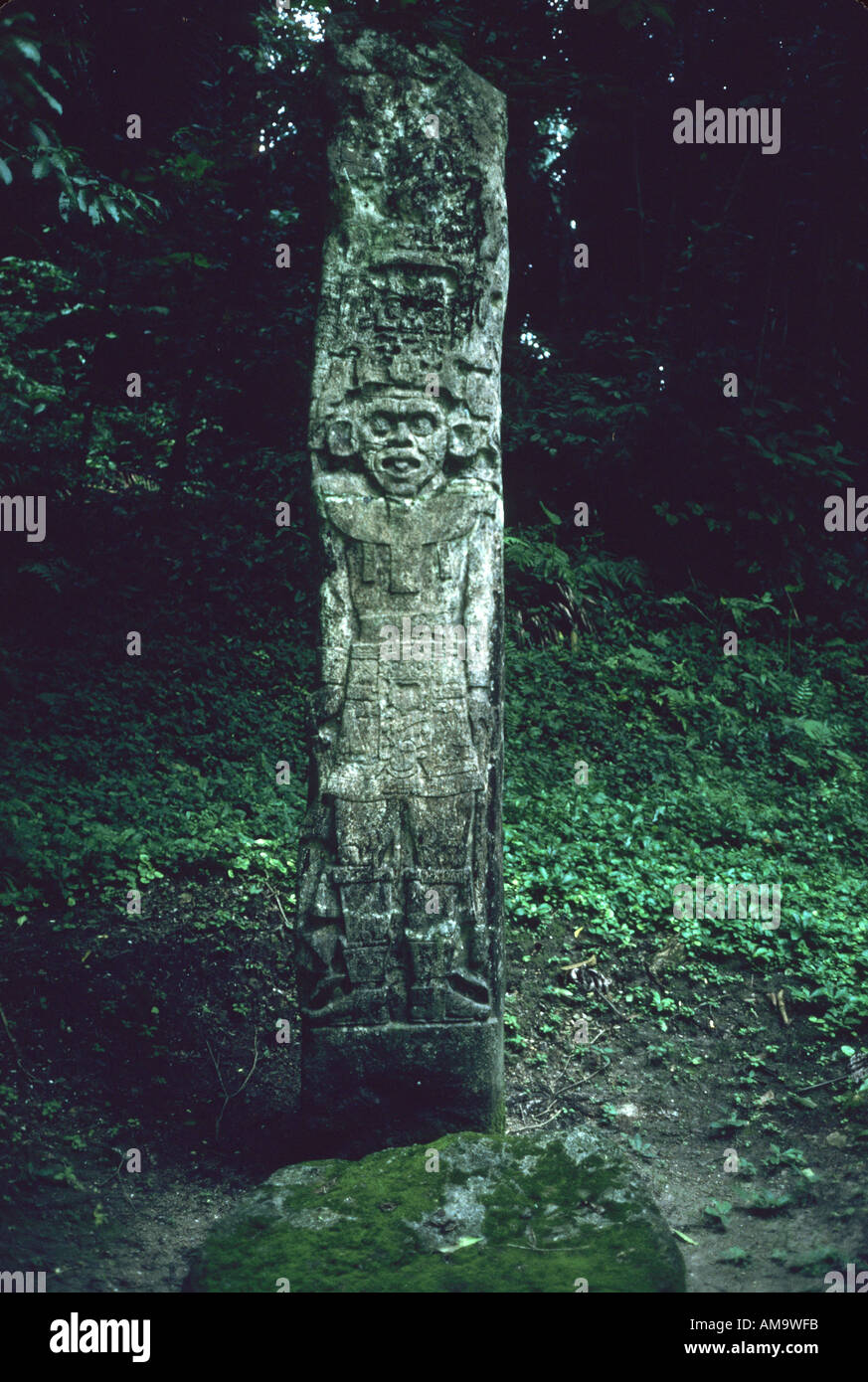 Mayan ruins site at Seibal Guatemala Stock Photo - Alamy