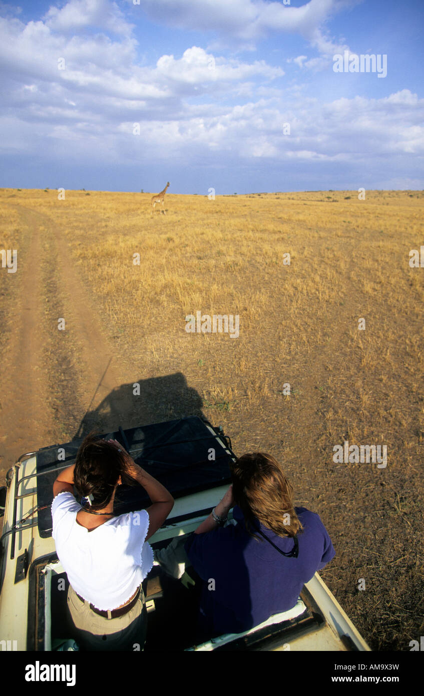 Kenyan game drive hi-res stock photography and images - Alamy