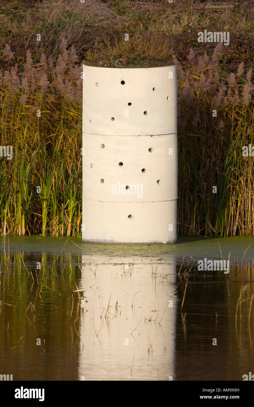 Sand martin nest hi-res stock photography and images - Alamy