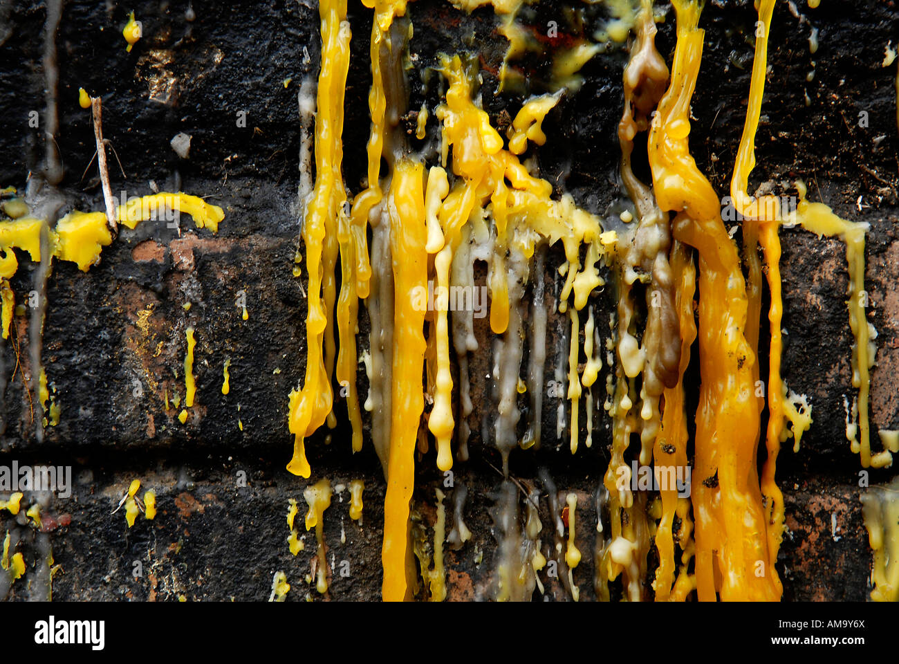 dripping yellow candle wax at a temple in thailand Stock Photo - Alamy