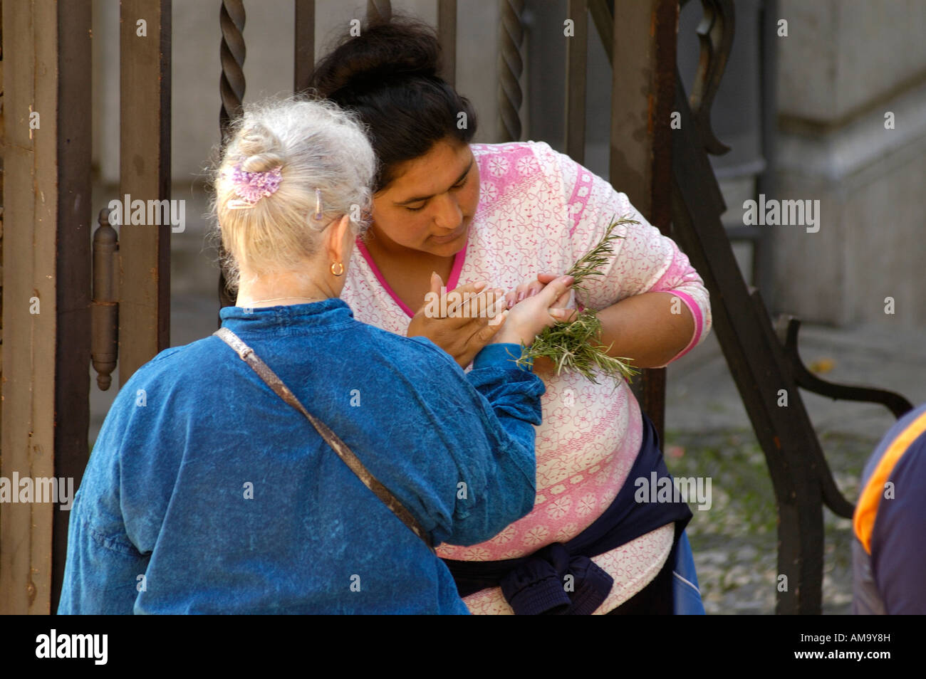Palm reading gypsy hi-res stock photography and images - Alamy
