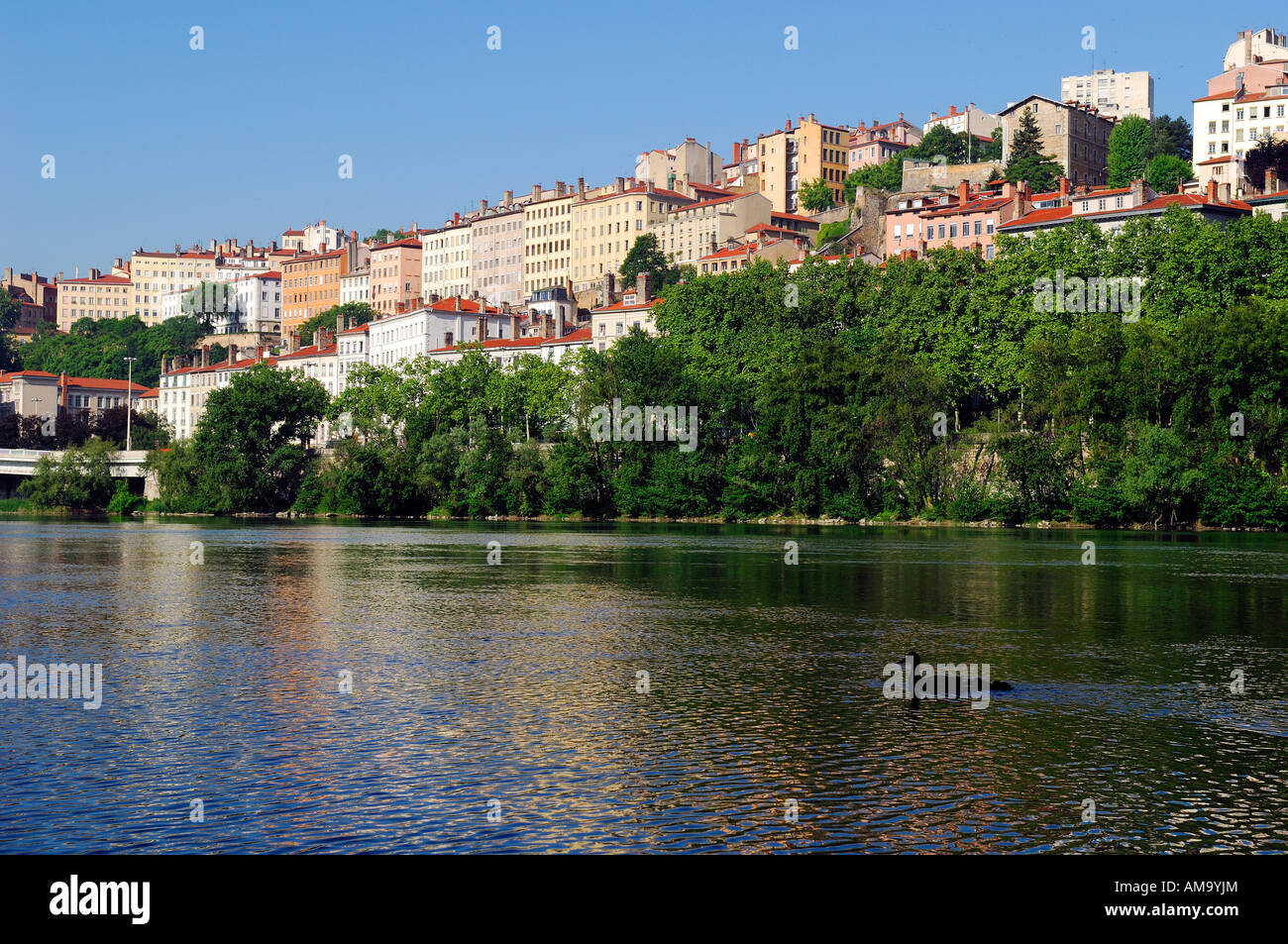 France, Rhone, Lyon, La Croix Rousse District seen from Rhone river ...