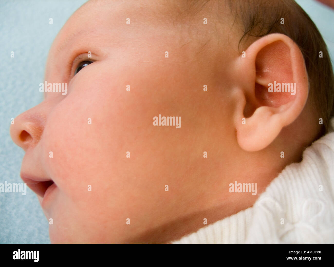 Ear of one week old girl Stock Photo - Alamy