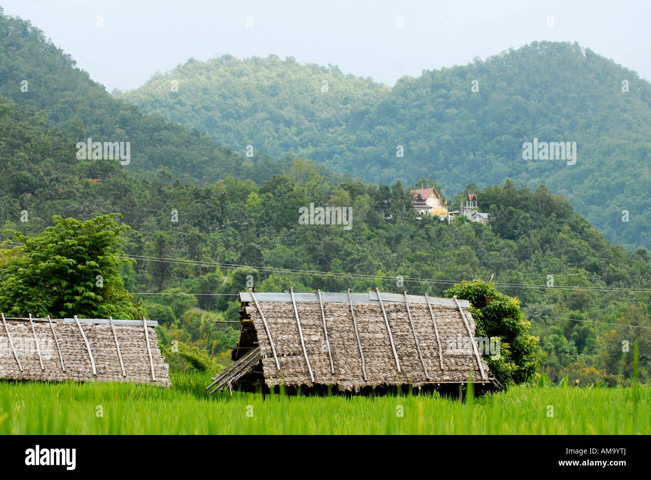 shelters in a paddy field, with a temple on the hill in the background ...