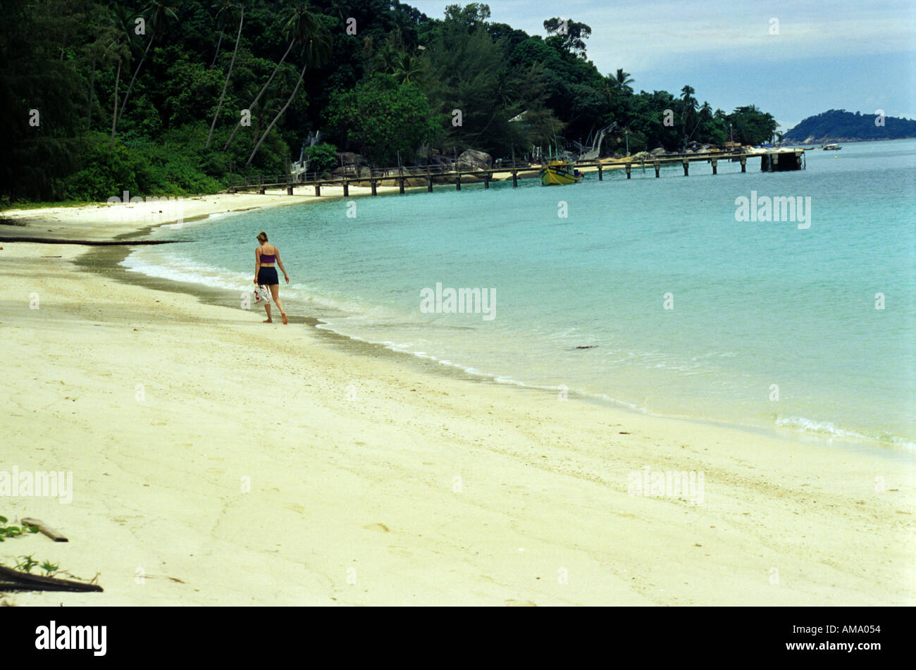 Jungle tioman island hi-res stock photography and images - Alamy