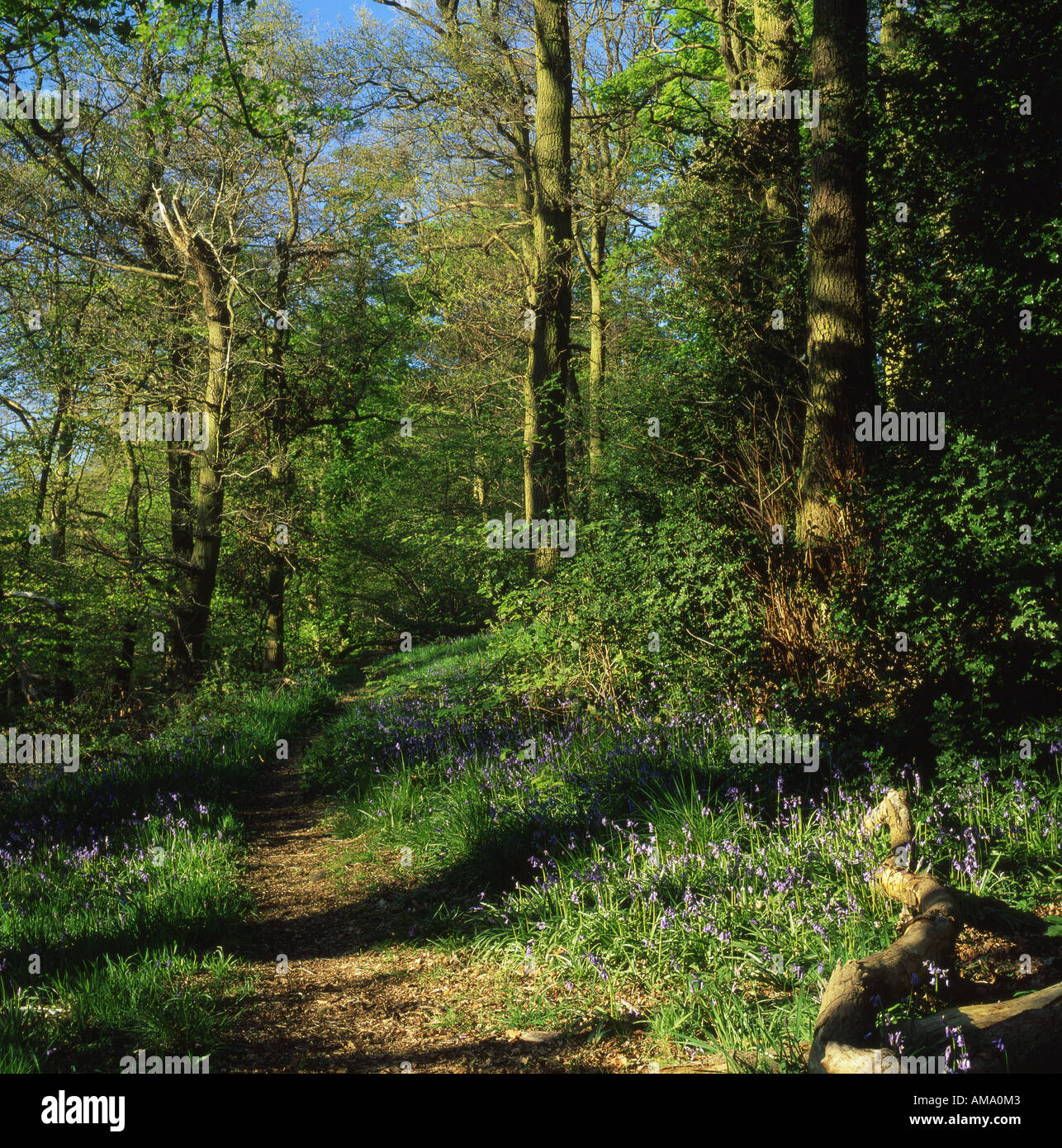 Tansley derbyshire hi-res stock photography and images - Alamy