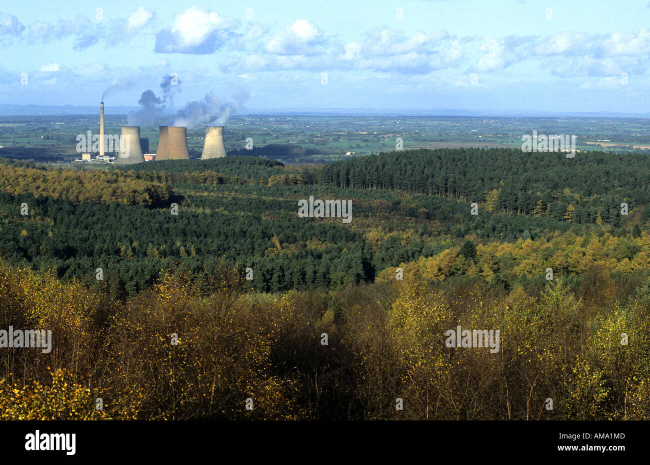 Cannock chase forest rugeley uk hi-res stock photography and images - Alamy
