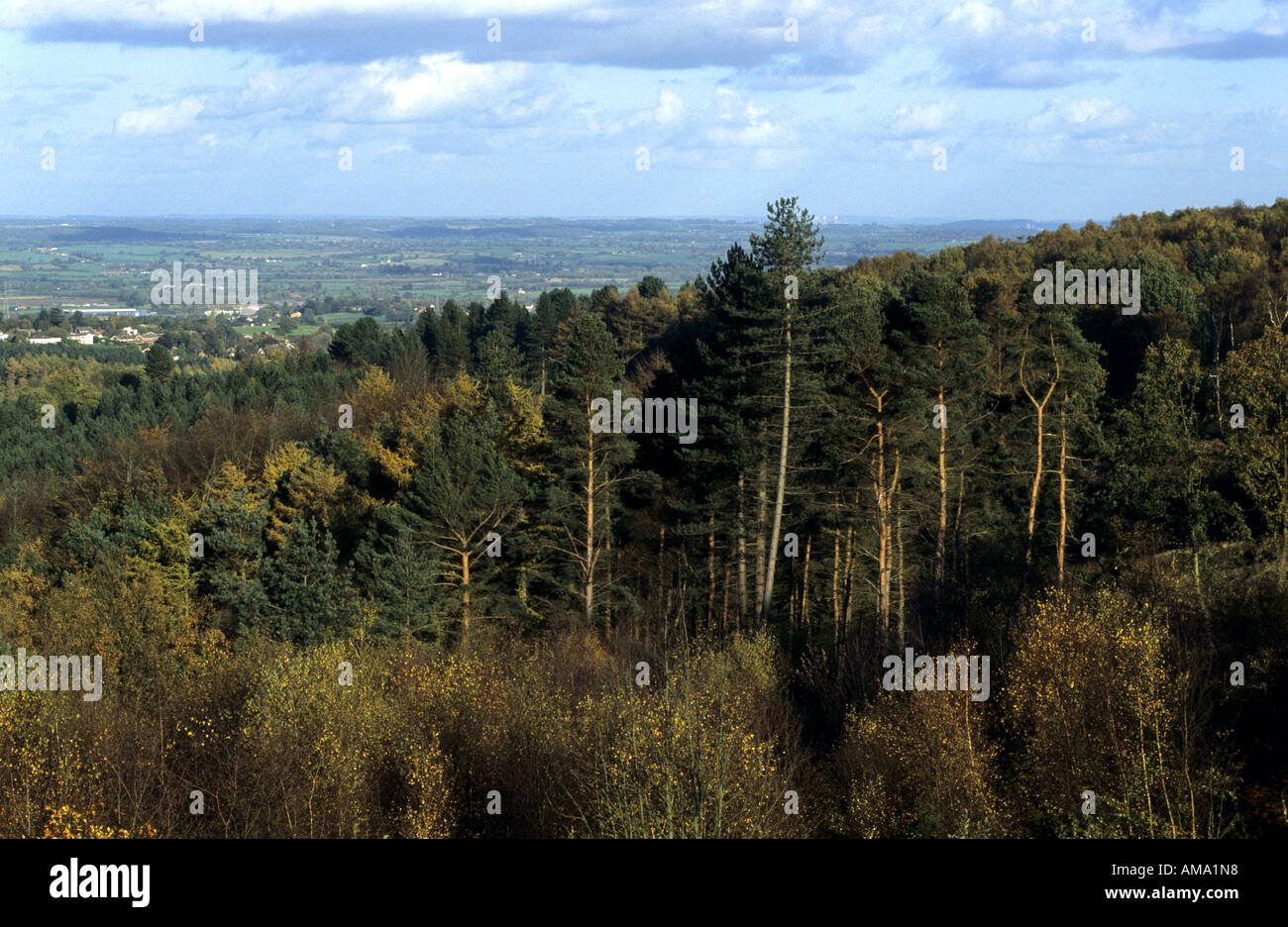 Cannock Chase seen from Castle Ring, Staffordshire, England, UK Stock ...