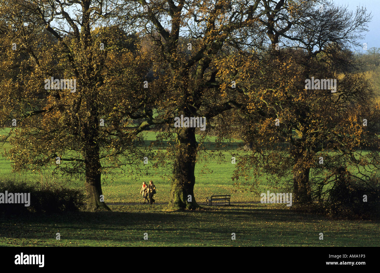 Abbey Fields in autumn, Kenilworth, Warwickshire, England, UK Stock ...