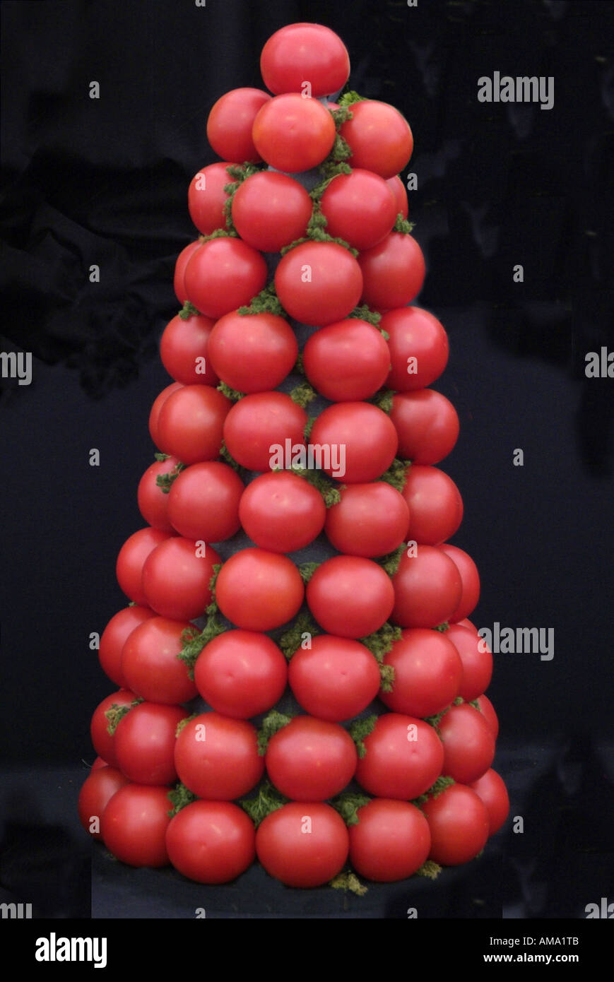 Tomato food foodstuff fresh display column exhibit exhibition trophy ...