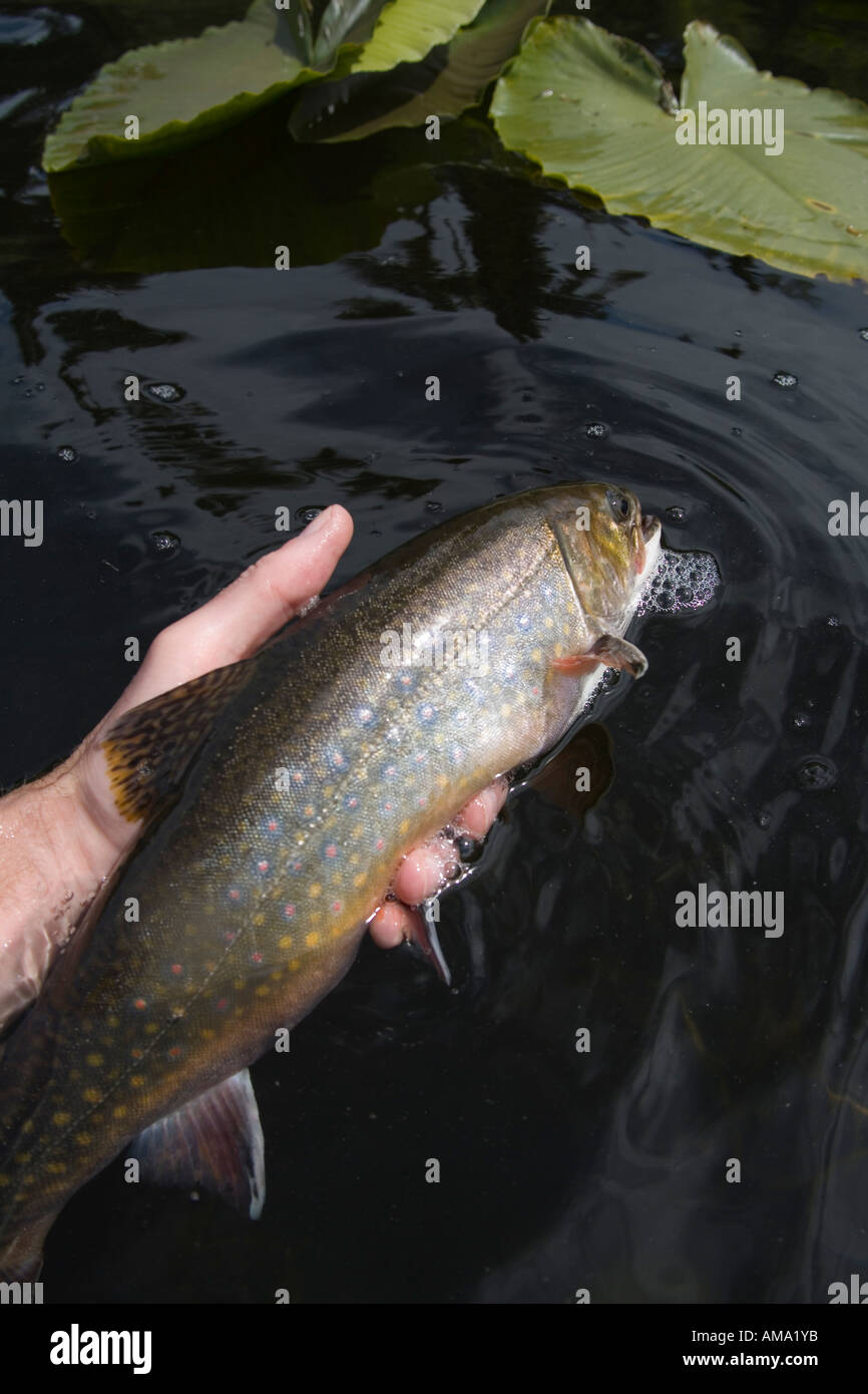 Fish brook valley hi-res stock photography and images - Alamy