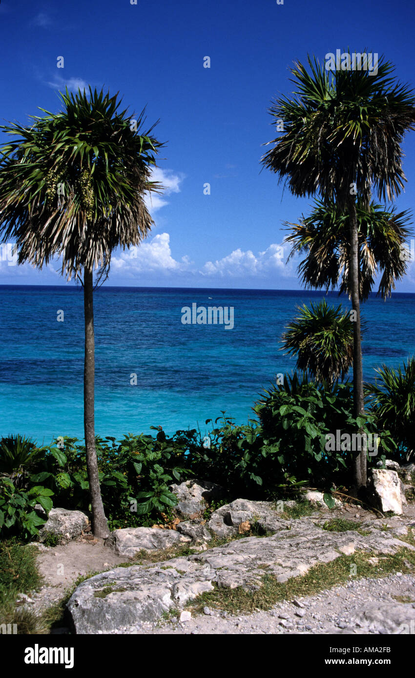 Tulum mayan beach yucatan mexico Stock Photo - Alamy