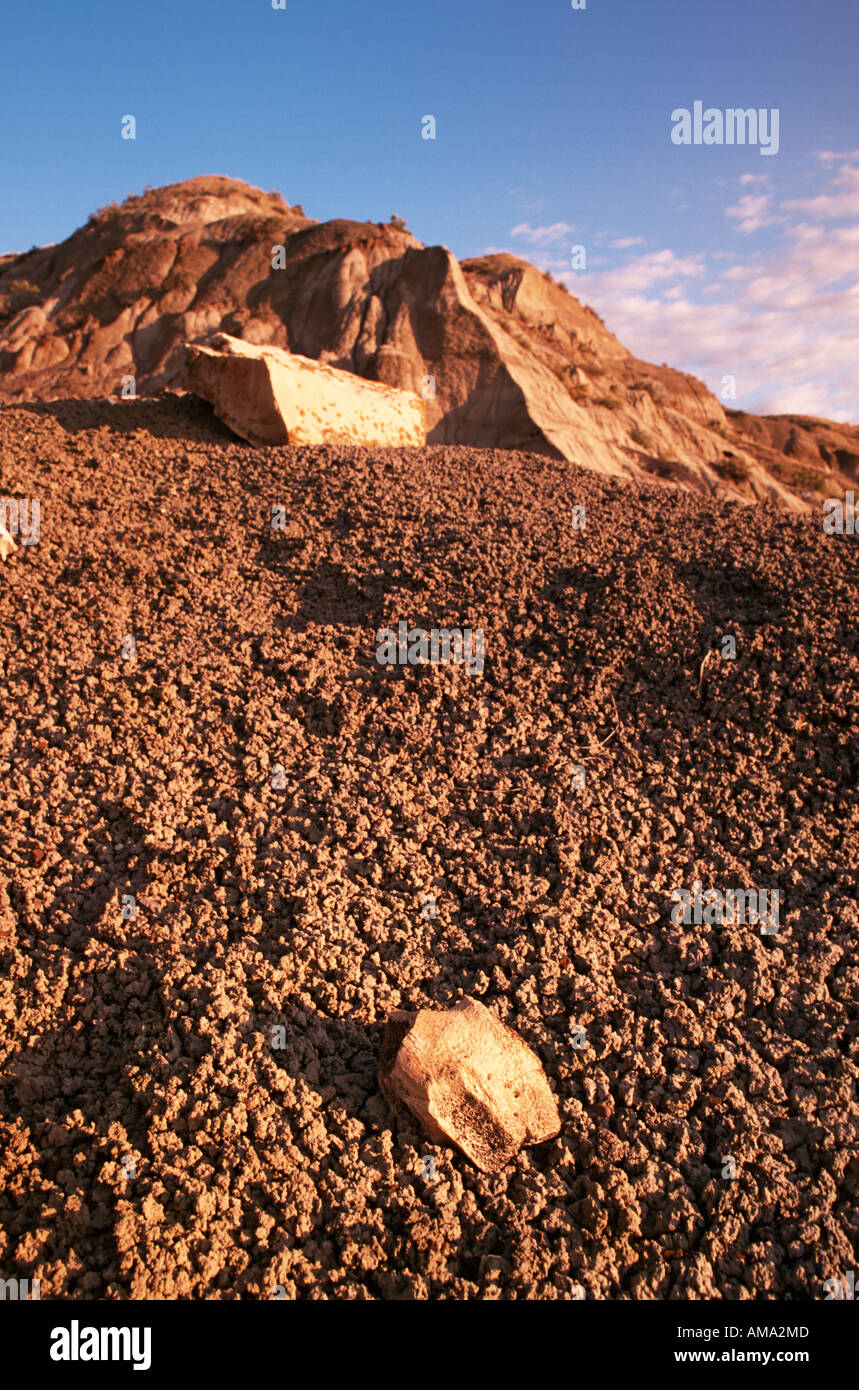 Fossil bone Dinosaur Provincial Park Alberta Stock Photo - Alamy