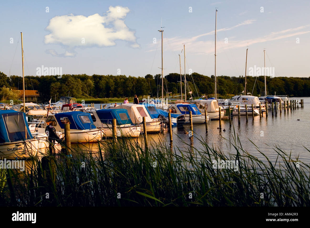 Yachts in Danish harbour Stock Photo - Alamy