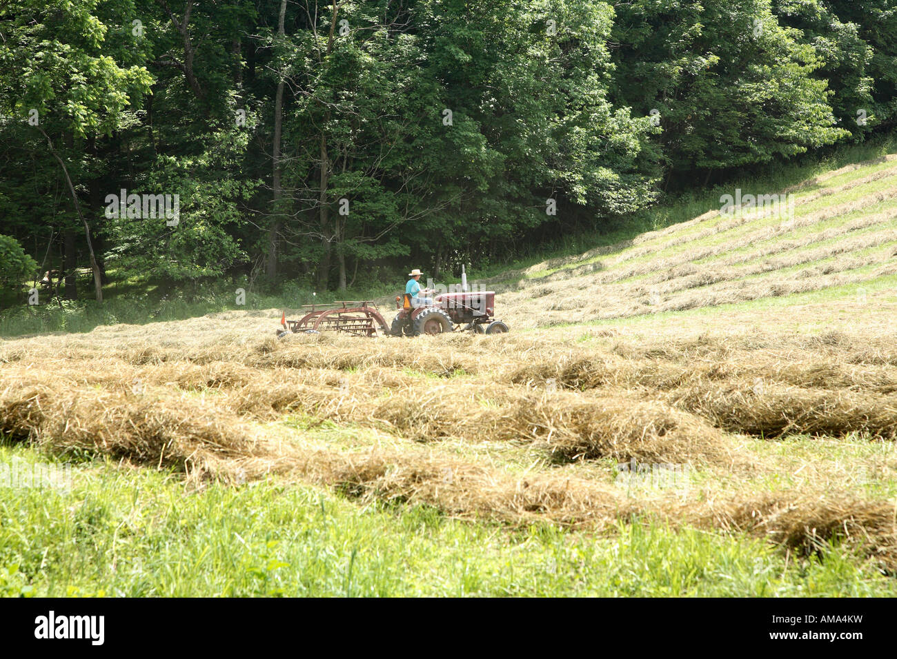 Man with tractor and tedder turning hay in field Stock Photo - Alamy