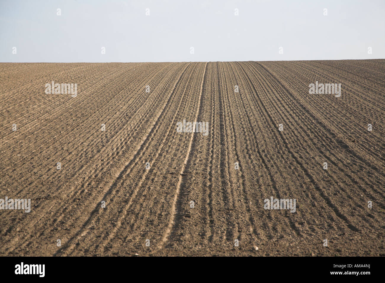 Soil furrows running down bare hillside illustrating risk of soil ...